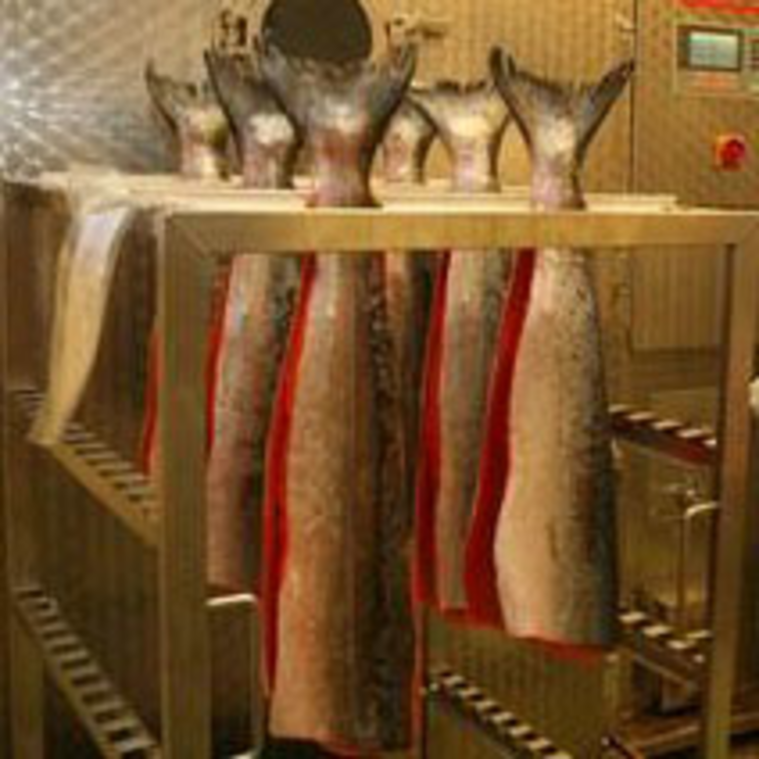 Workshop vis roken | Milledoni - Spot on gifts