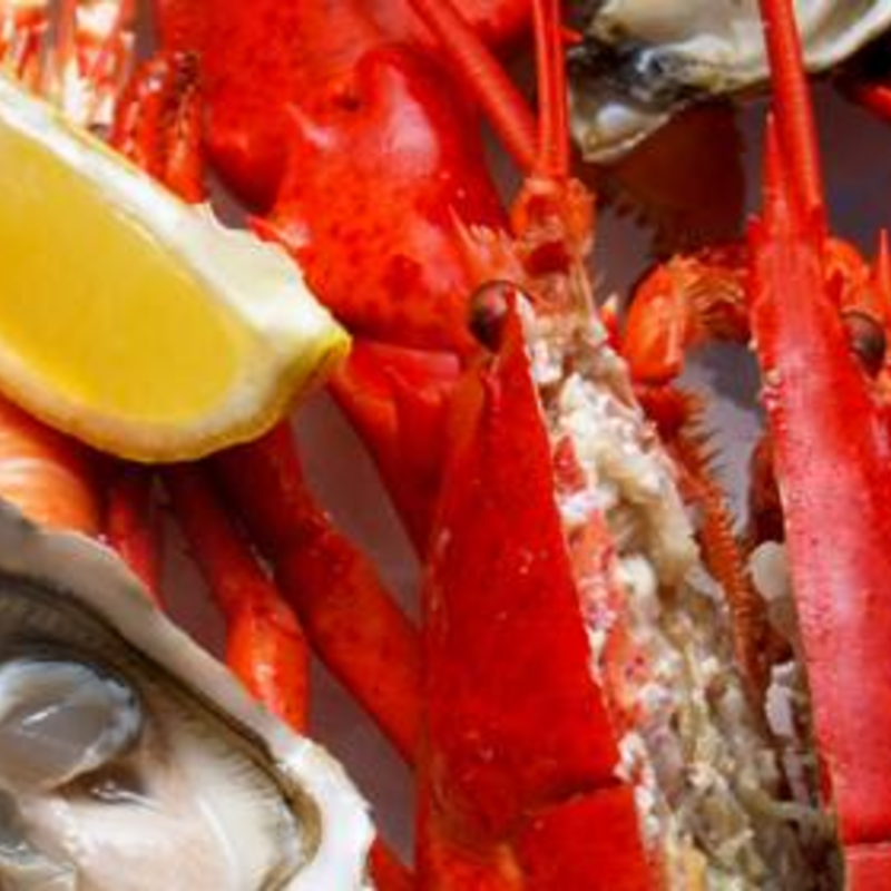 Kreeft en Zeeuwse oesters | Milledoni - Spot on gifts