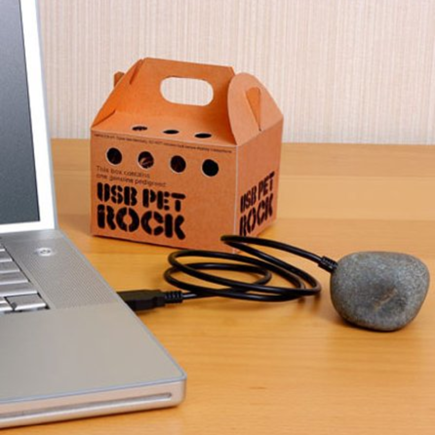Pet Rock met USB snoertje | Milledoni - Spot on gifts