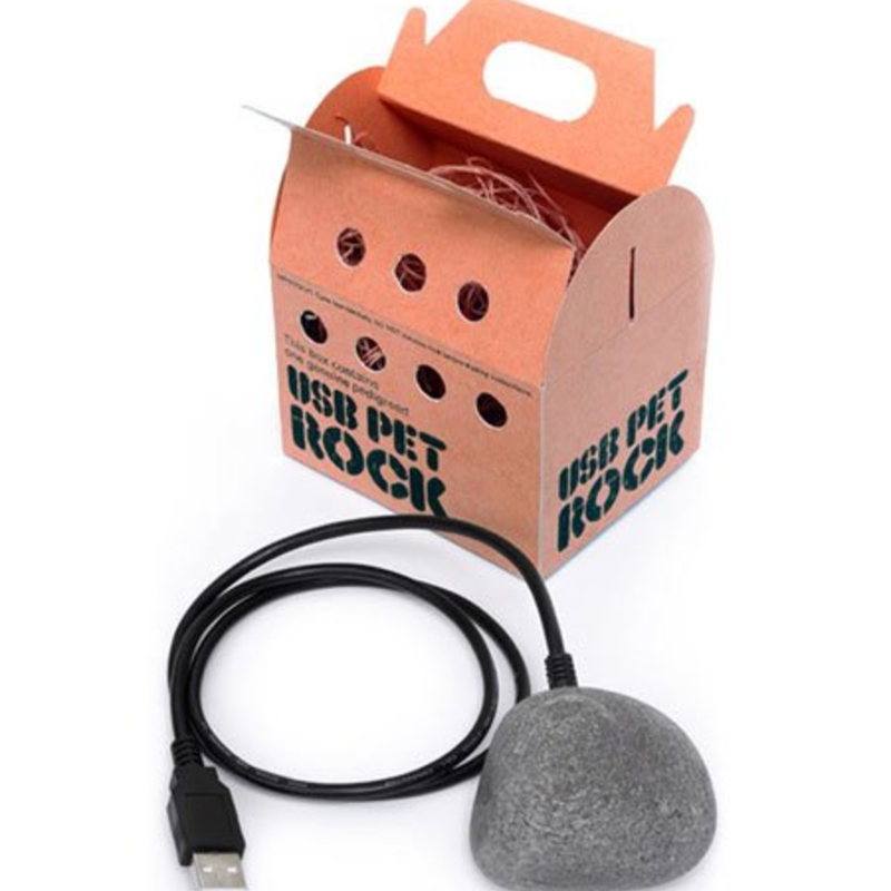 Pet Rock met USB snoertje | Milledoni - Spot on gifts