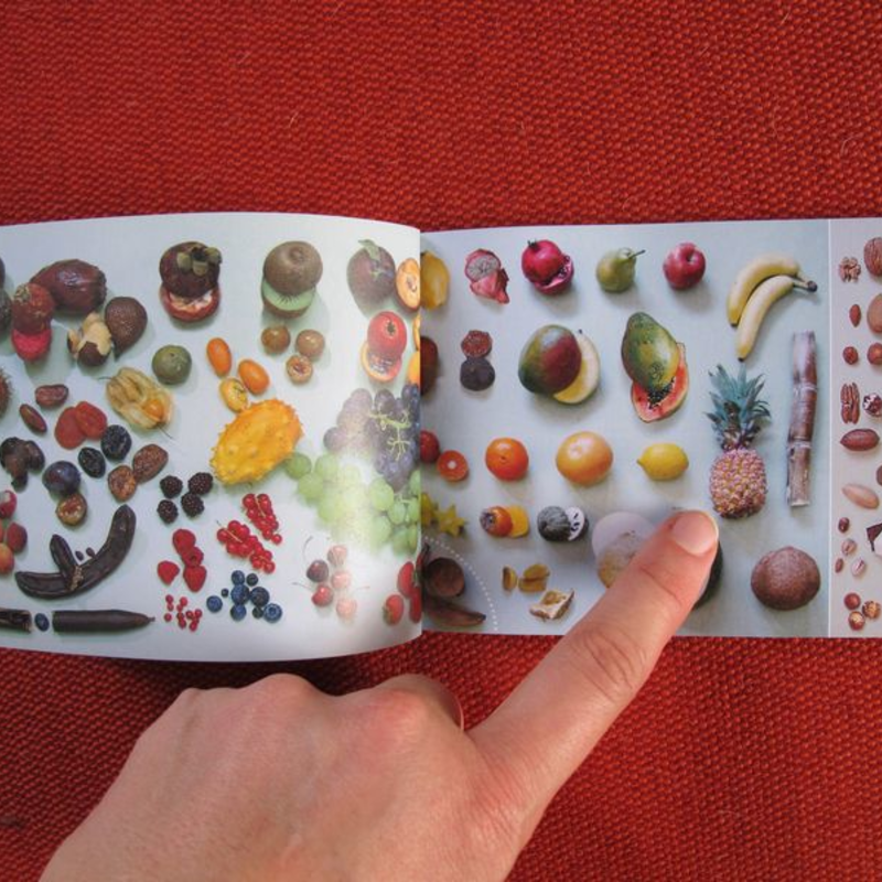 Boek 'Point it' | Milledoni - Spot on gifts