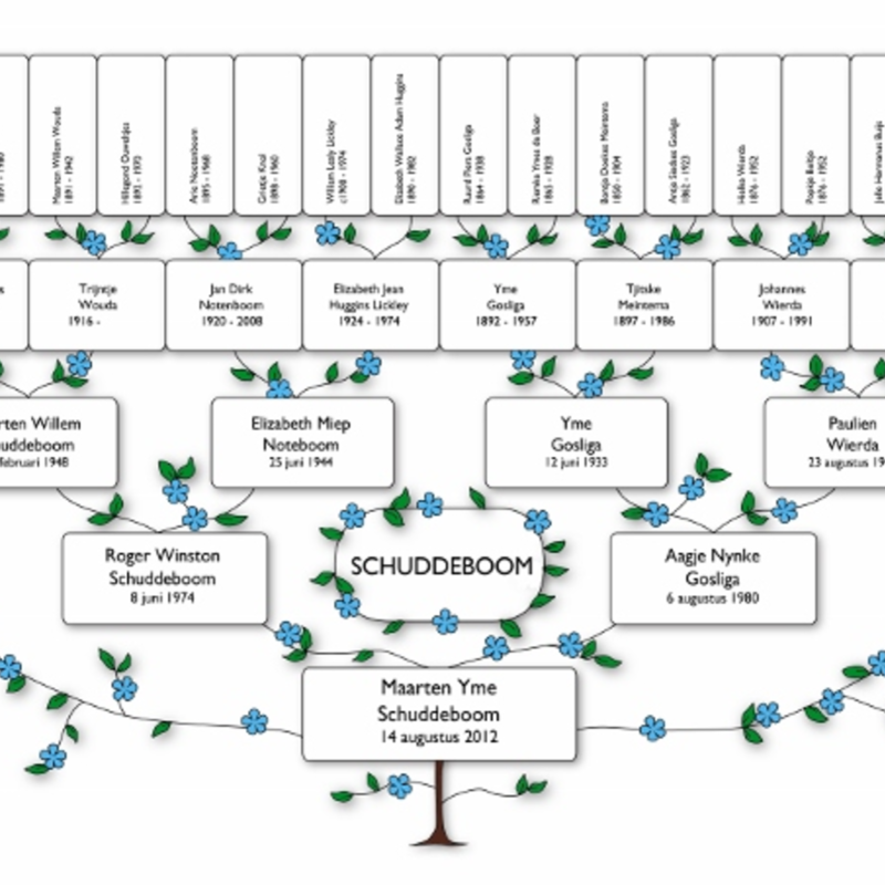 Familie stamboom | Milledoni - Spot on gifts