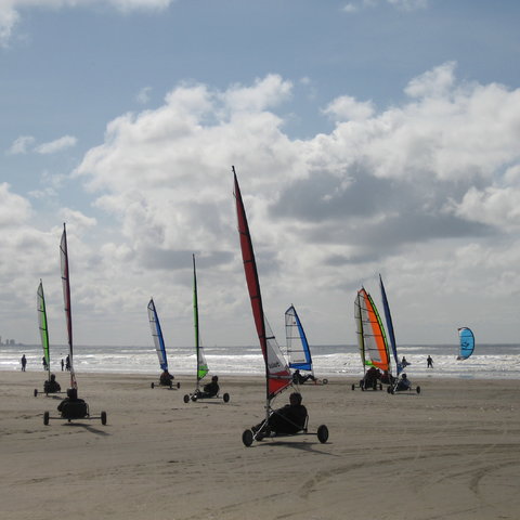 Strandzeilen | Milledoni - Spot on gifts