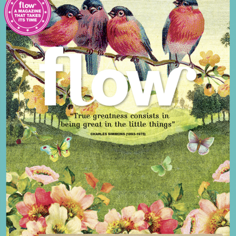 Abonnement Flow Magazine | Milledoni - Spot on gifts